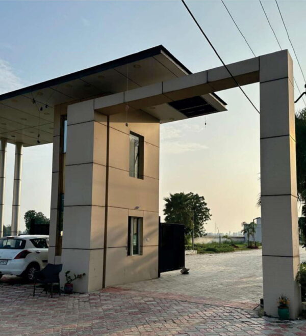 Blog – maple-group.co